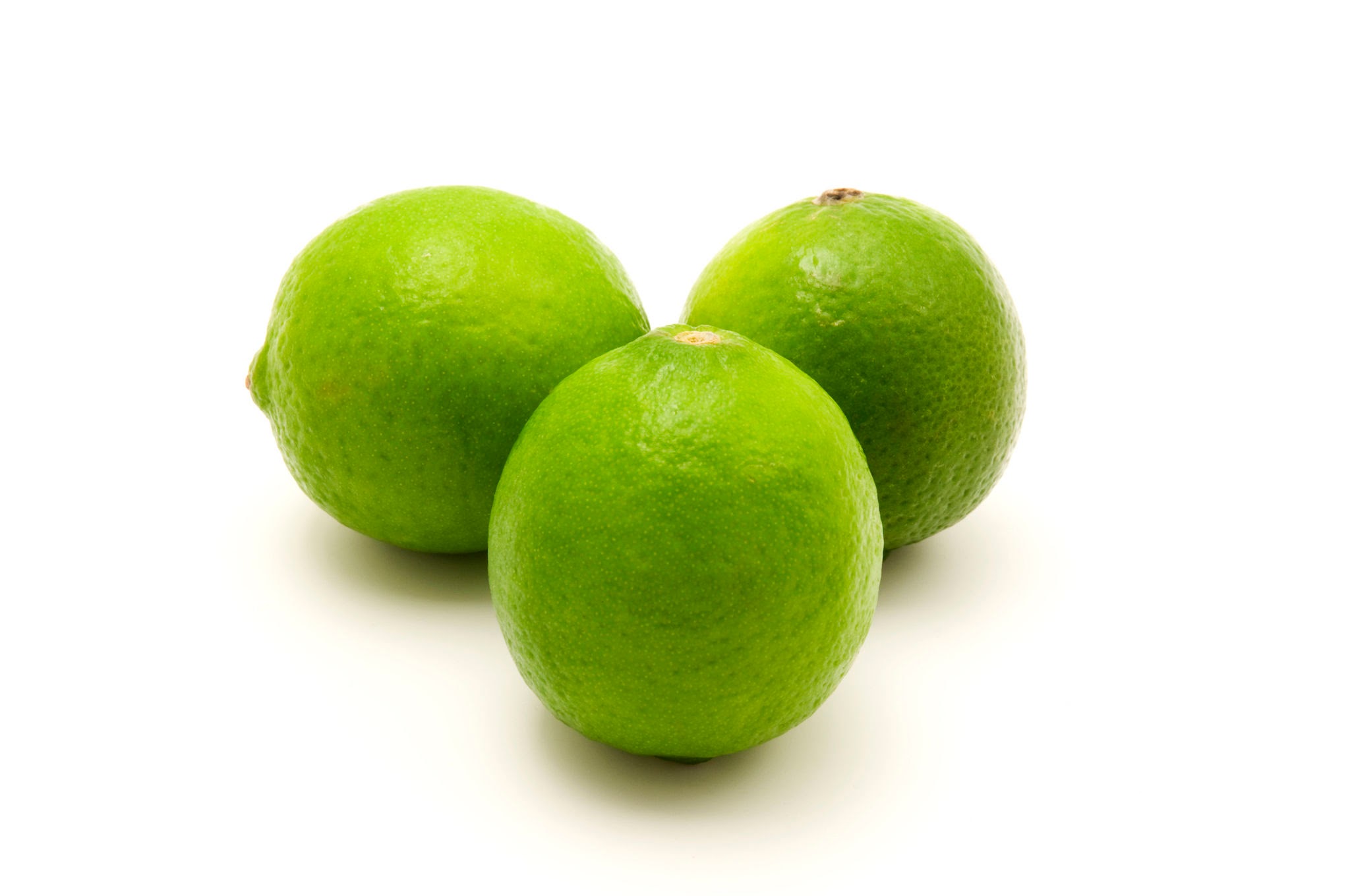 Compro 100 plantones de Limón Persa – AGROENLACE